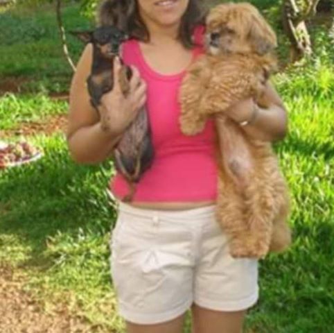 Cachorros desapareceram no Jardim Colonial