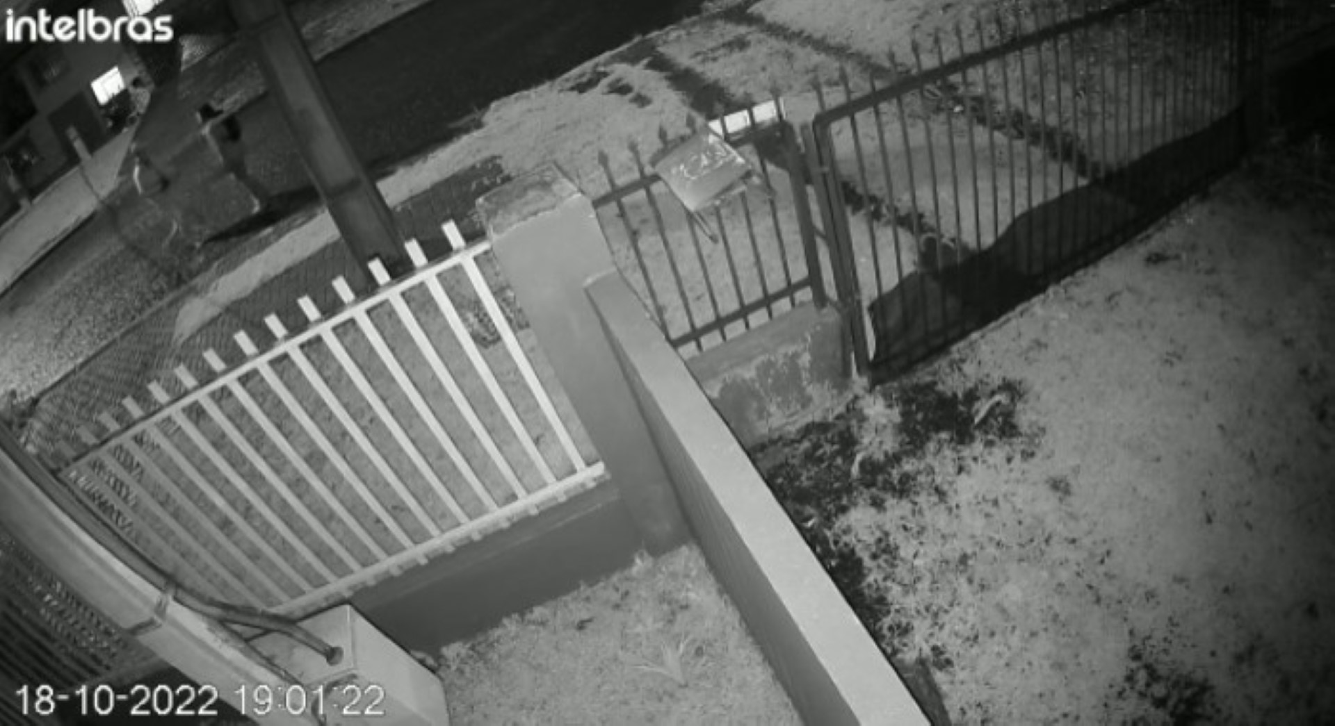 Revoltante! Câmera flagra tentativa de furto no Bairro Alto Alegre | CGN - O maior portal de ...