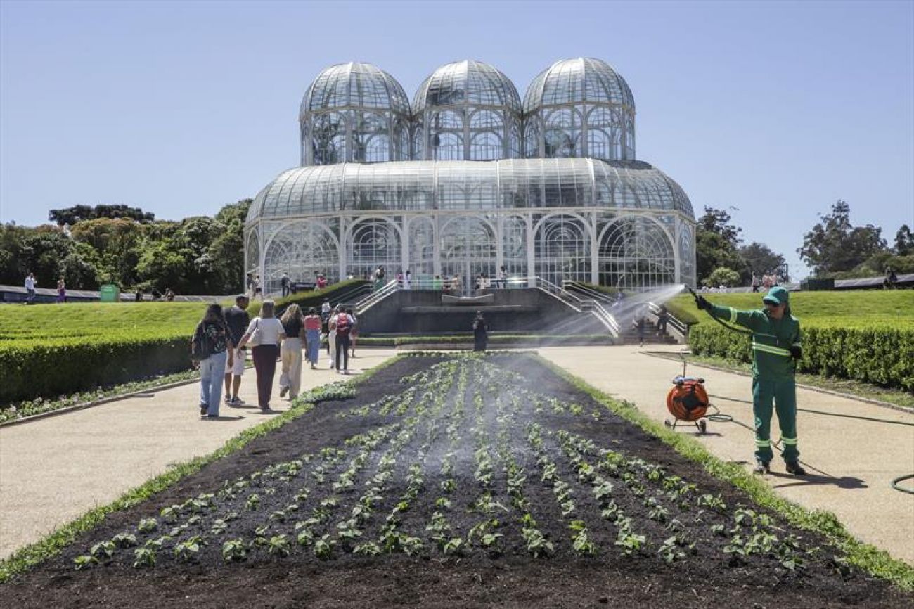 Curitiba - Jardim Botânico ganha árvores vivas nos canteiros do jardim ...