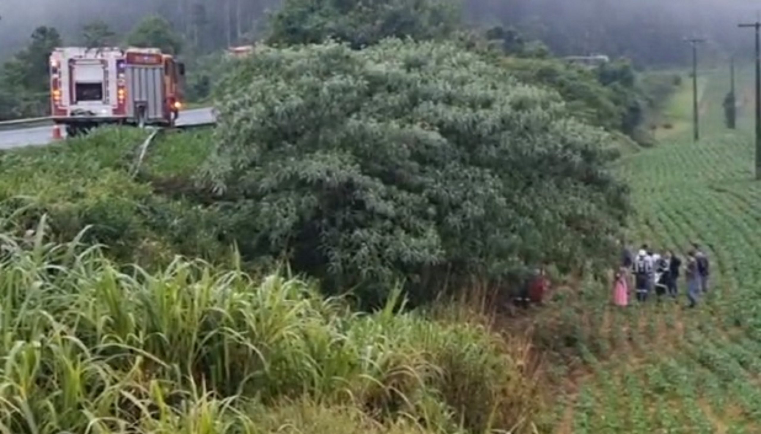 Duas mulheres ficam feridas em acidente na PR-483 em Beltrão | CGN - O maior portal de notícias ...