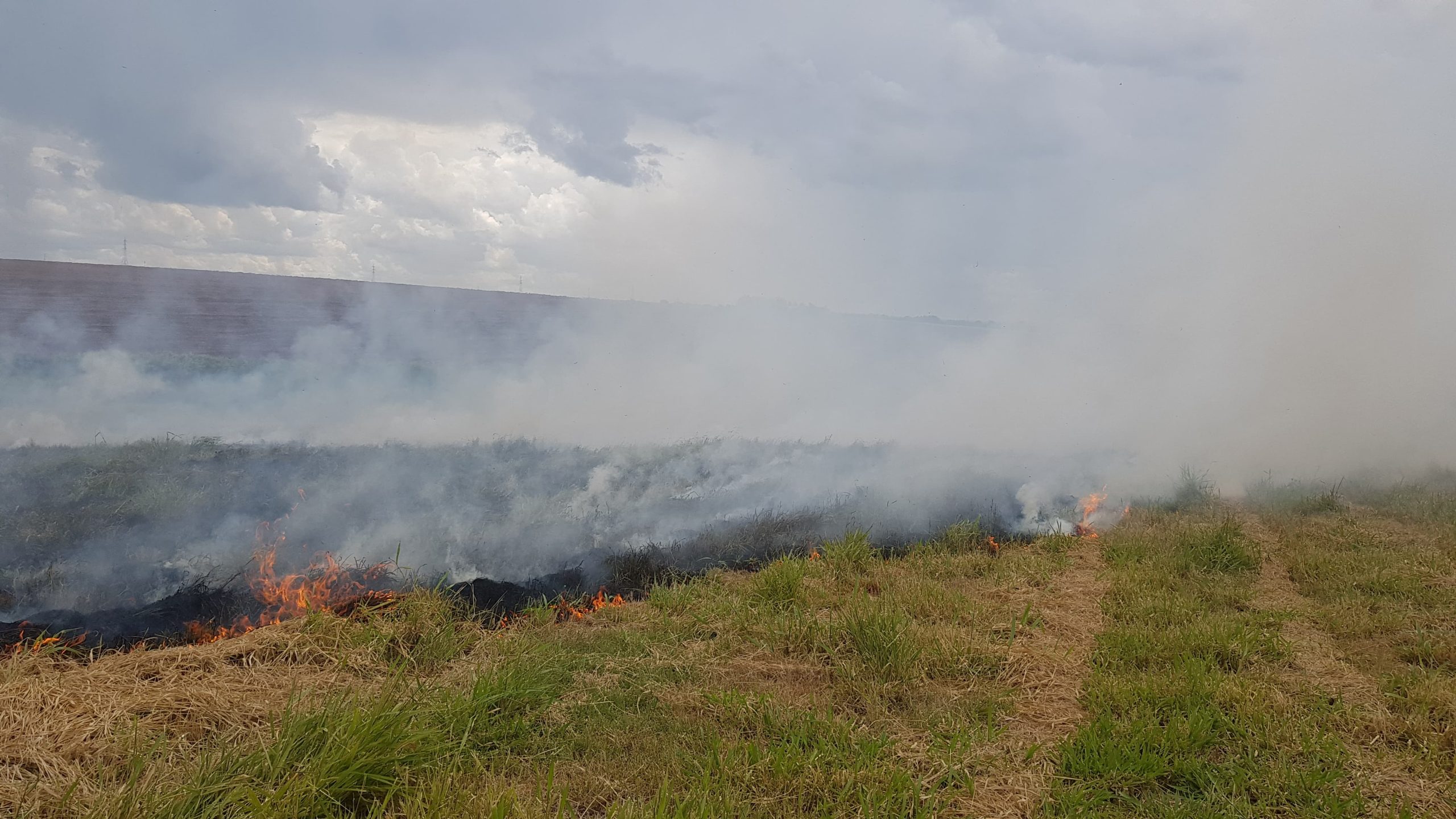 Grande área de vegetação é queimada em incêndio no Esmeralda