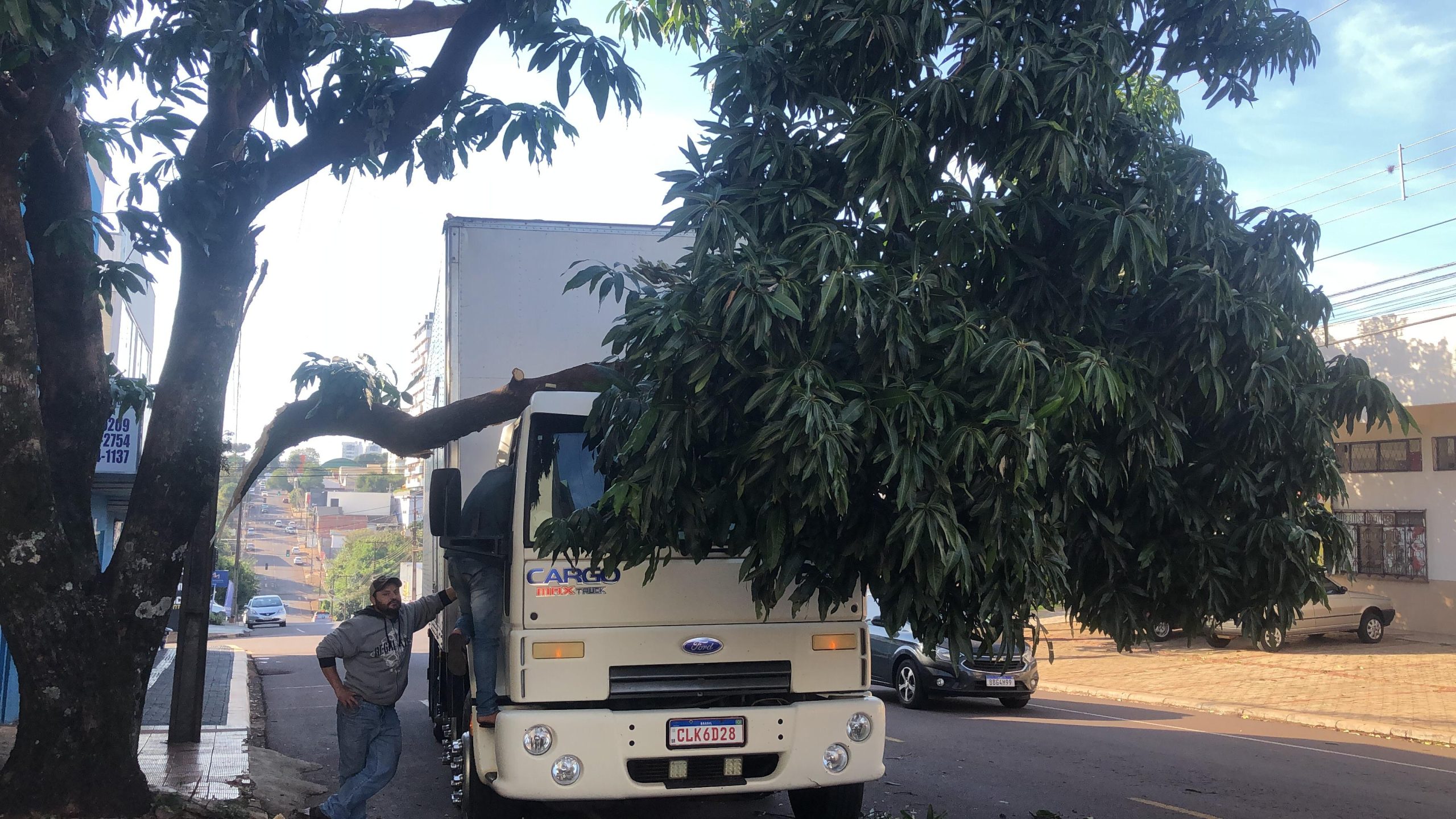 Caminhão quebra galho de árvore na Rua Manaus | CGN - O maior portal de notícias de Cascavel e ...