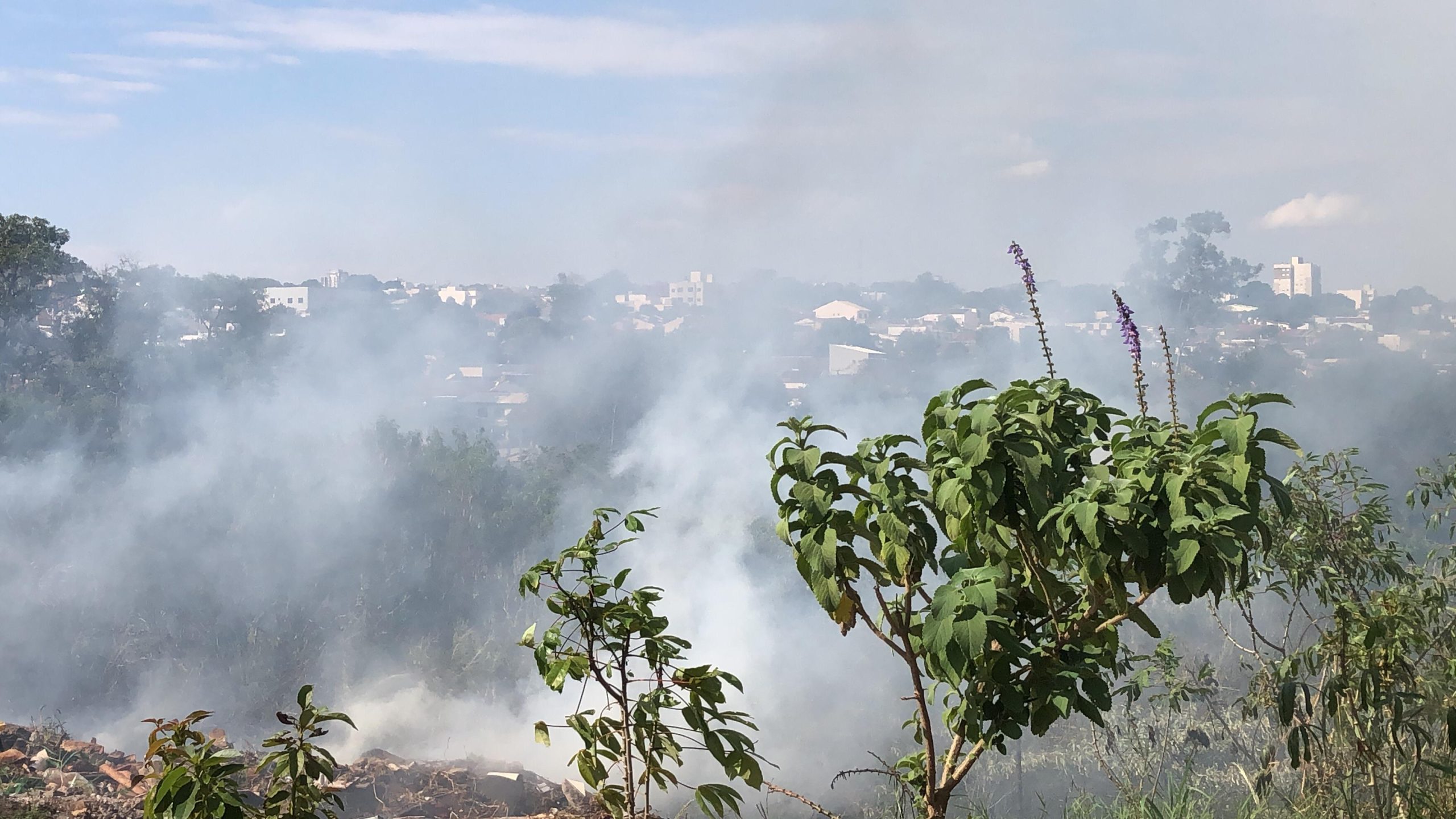 Incêndio Ambiental De Grandes Proporções é Registrado No Santa Cruz