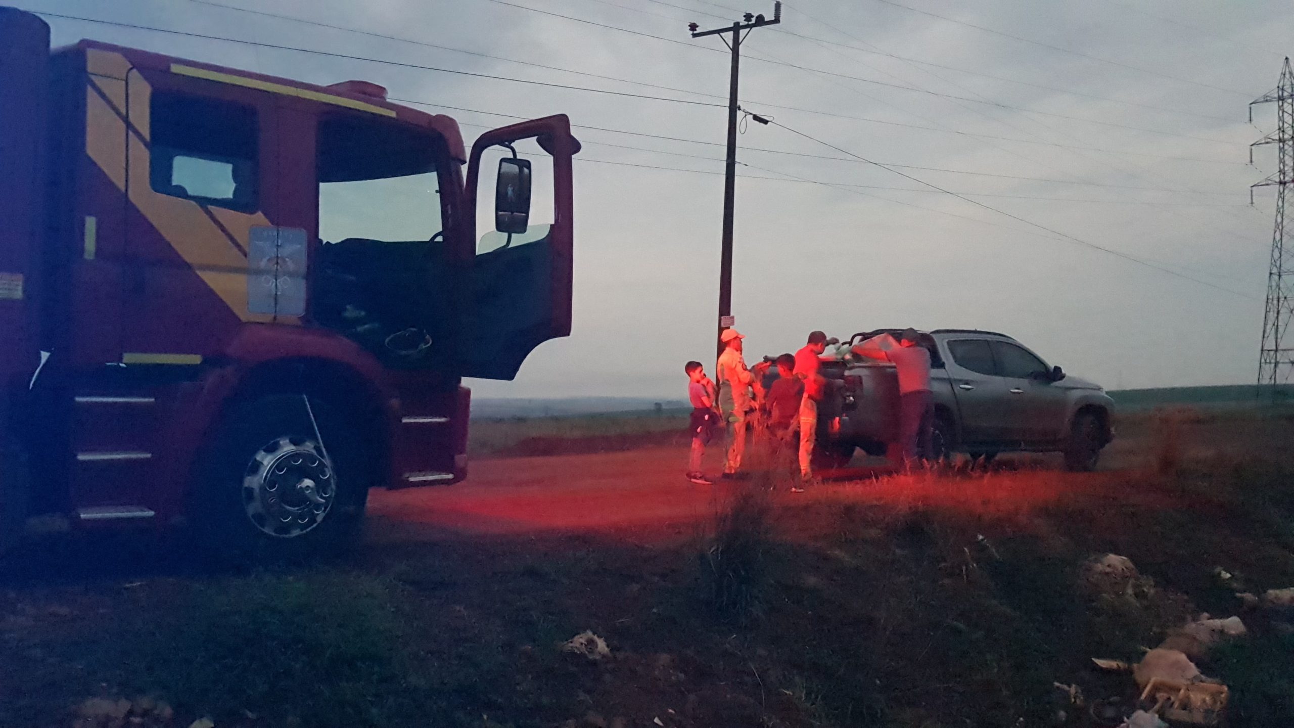 Final feliz: filhotes são resgatados por família de agricultores