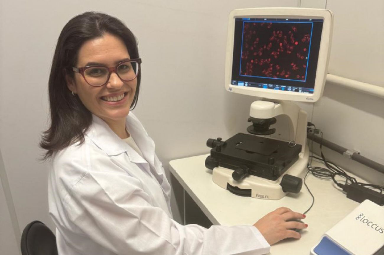 Pesquisadores estudam uso de composto na própolis para tratamento de ...