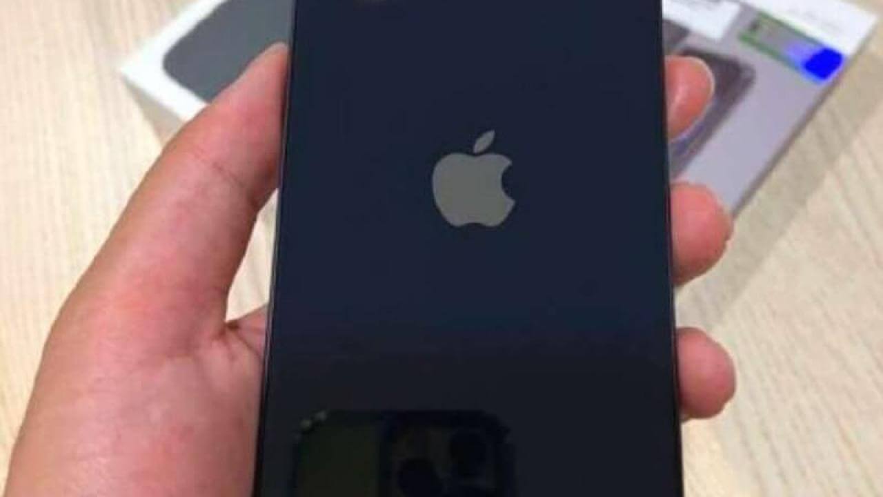 Foi perdido celular da marca Iphone no bairro Santa Cruz