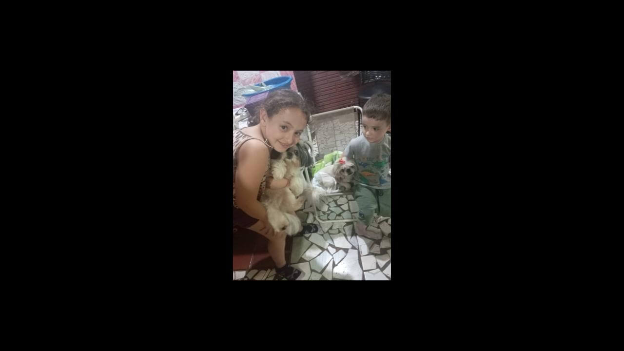 Cachorra Sophia desapareceu no bairro São Cristóvão