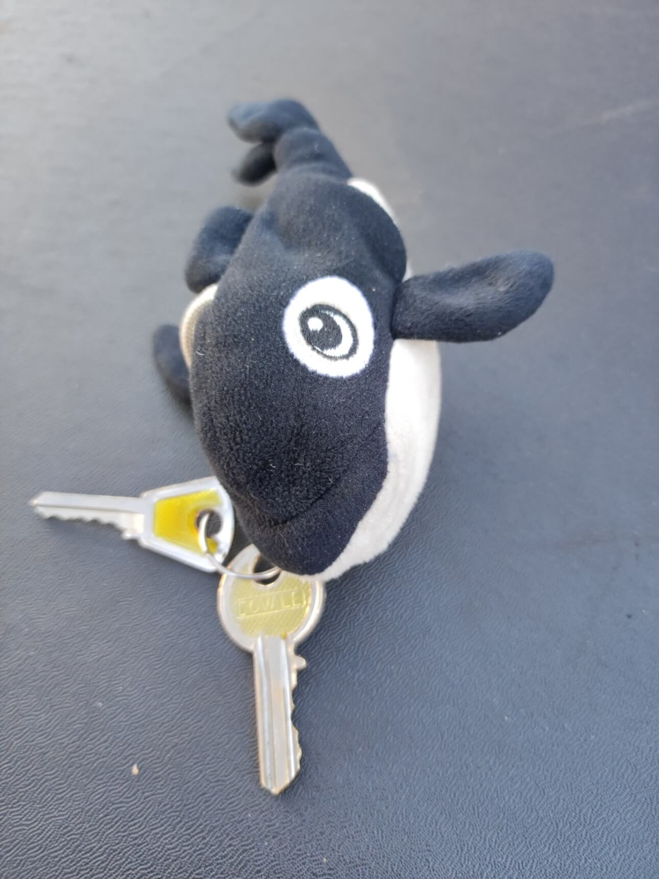 Foi encontrada uma chave no bairro Centro
